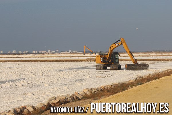 Un proyecto para regenerar el verdadero espíritu de Las Aletas - Puerto ...