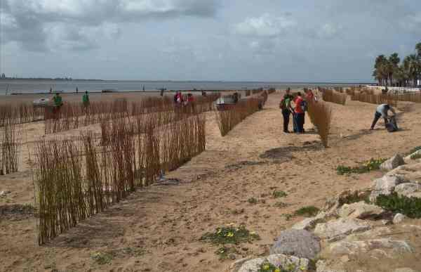 Éxito en la limpieza popular de La Cachucha - Puerto Real Hoy