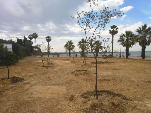 La Cachucha, preparada para la temporada veraniega - Puerto Real Hoy